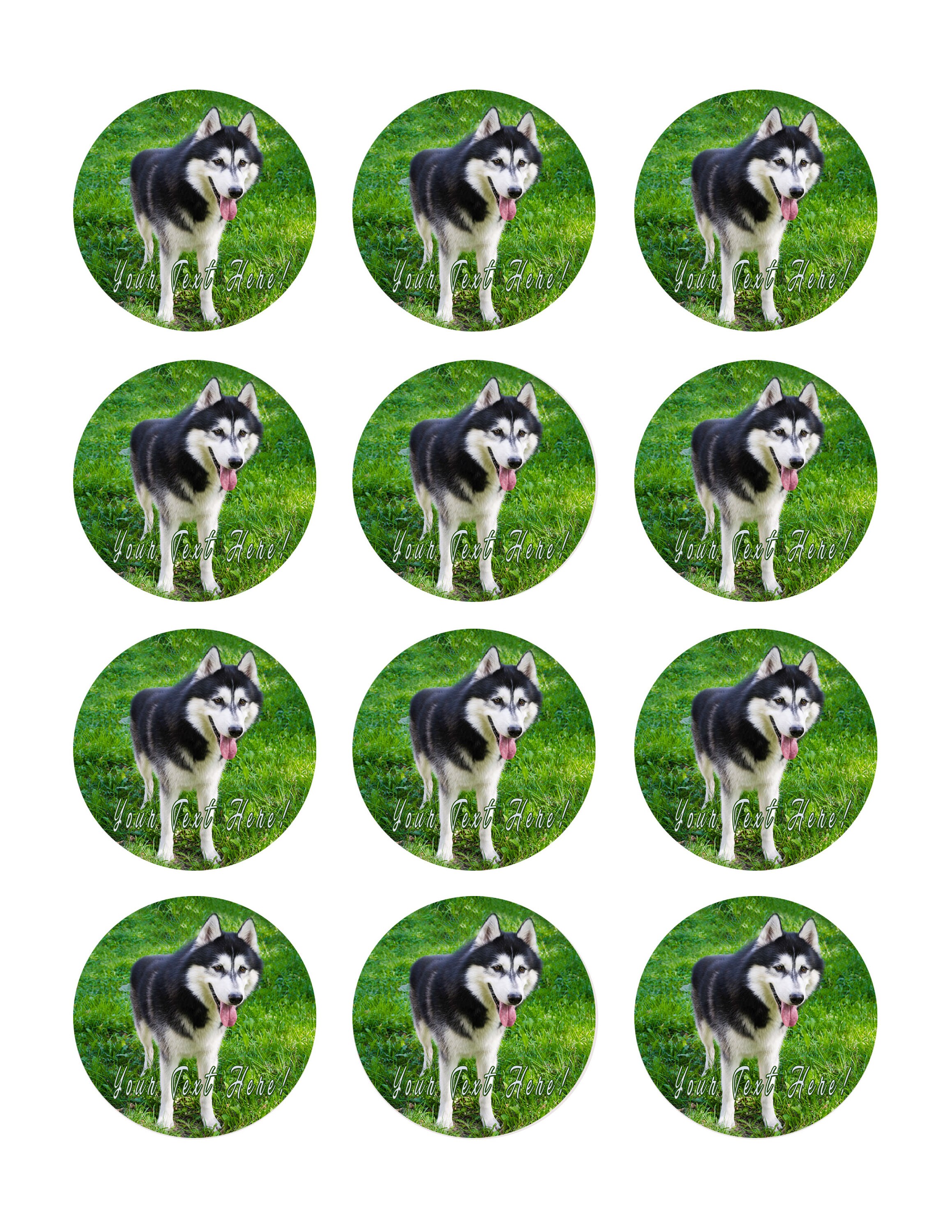 Husky Portrait - Edible Cake or Cupcake Topper - Etsy
