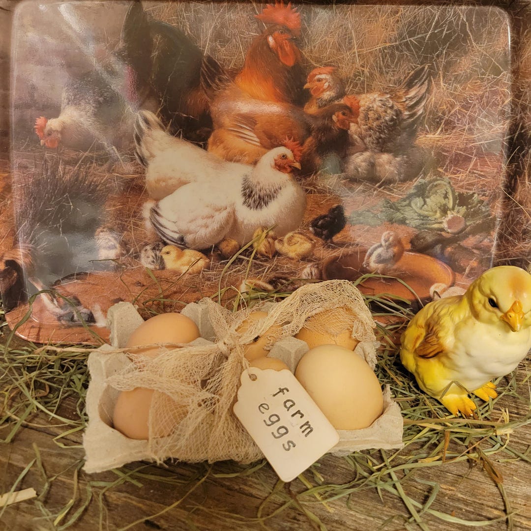 Hand Blown Free Range Real Chicken Egg Shells Primitive Country ...