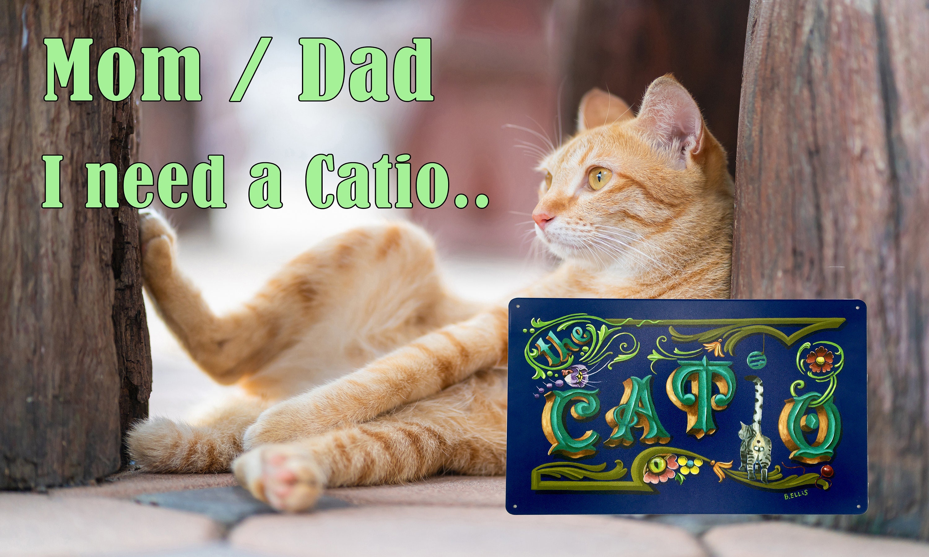 Catio Signs Hand Paint Metal Sign Perfect Gift for Crazy Cat - Etsy