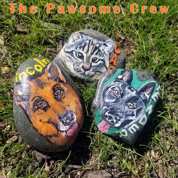Hand Painted Rock - Etsy