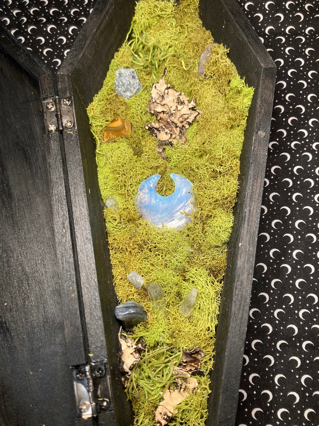 Coffin Crystal Terrarium: Goth Home Decor With Moss & Crystals - Etsy