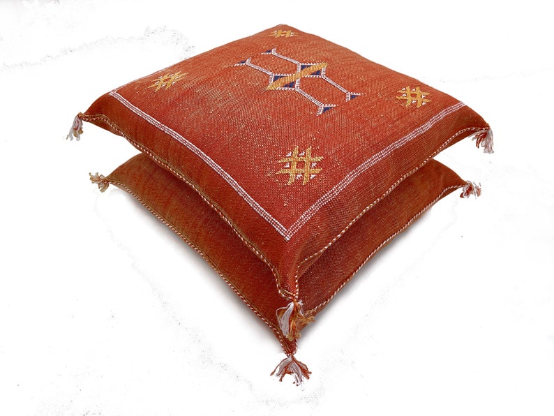 Sandy Orange Pillows Silk 20x20 orange Cactus Silk Pillow - Etsy