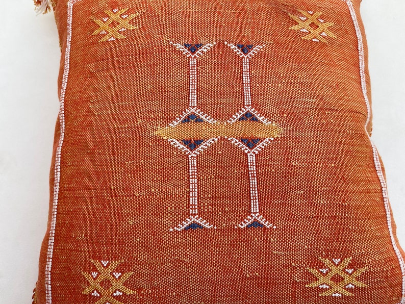 Sandy Orange Pillows Silk 20x20 orange Cactus Silk Pillow - Etsy