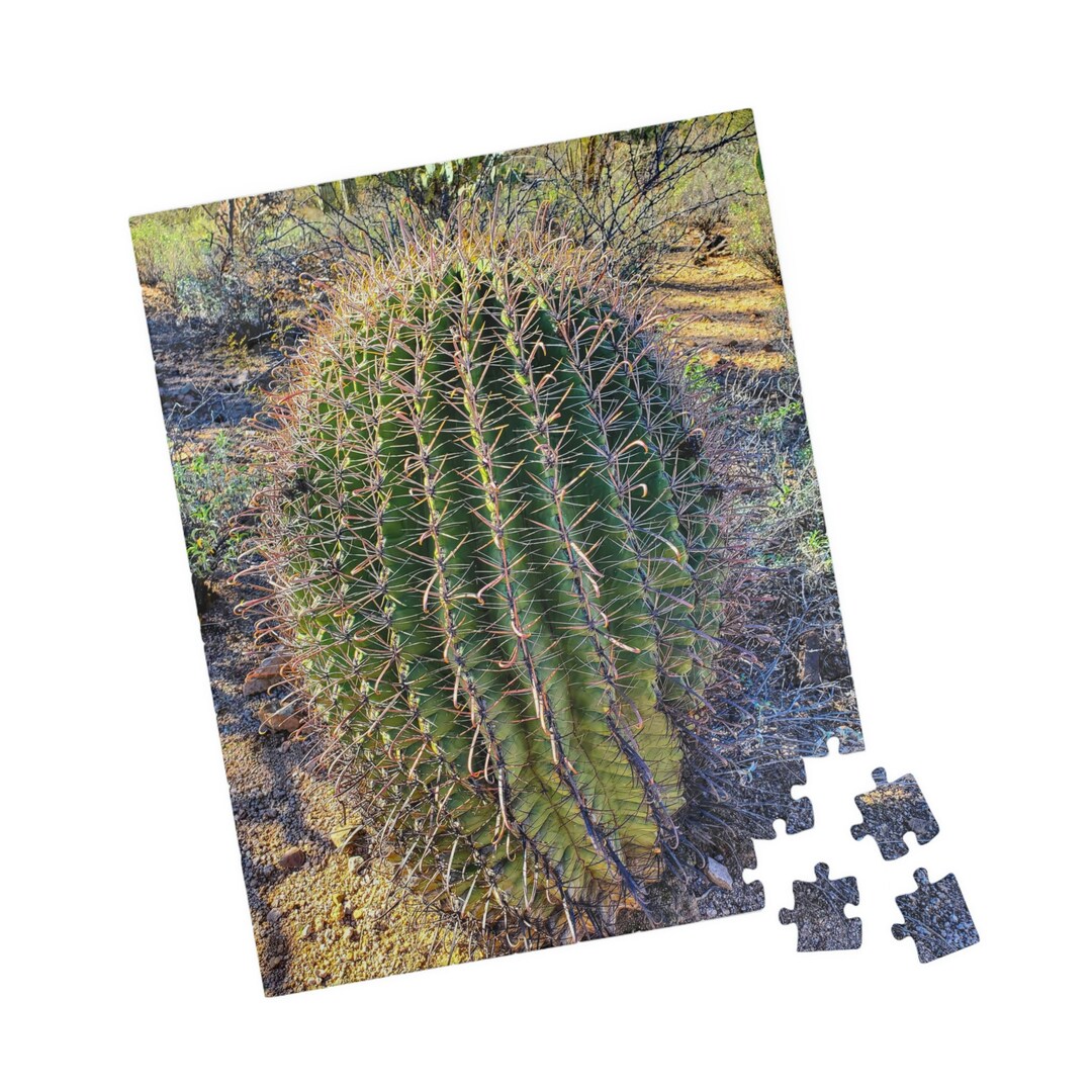 Buy Saguaro National Park Jigsaw Puzzle 110 or 252 Piece Arizona Desert ...