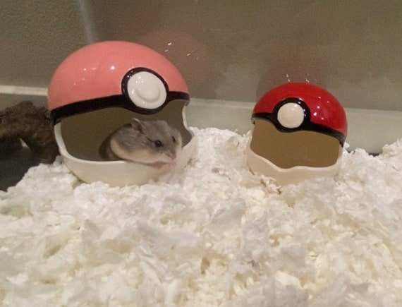 Pokemon Hamster Cage Overwatch's New Hero Is A Hamster | Eurogamer.net