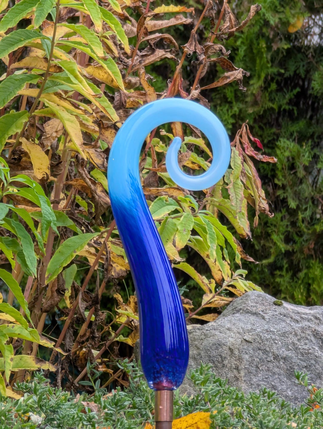 FIDDLE Fern Curly (light Blue/ Cobalt) 2 Tone, Glass Garden Yard Art ...