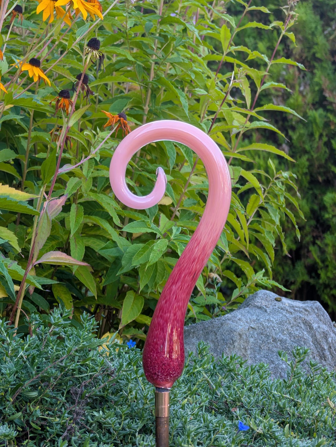 FIDDLE Fern Curly (f Pink/ruby) 2 Tone, Glass Garden Yard Art, Hand ...