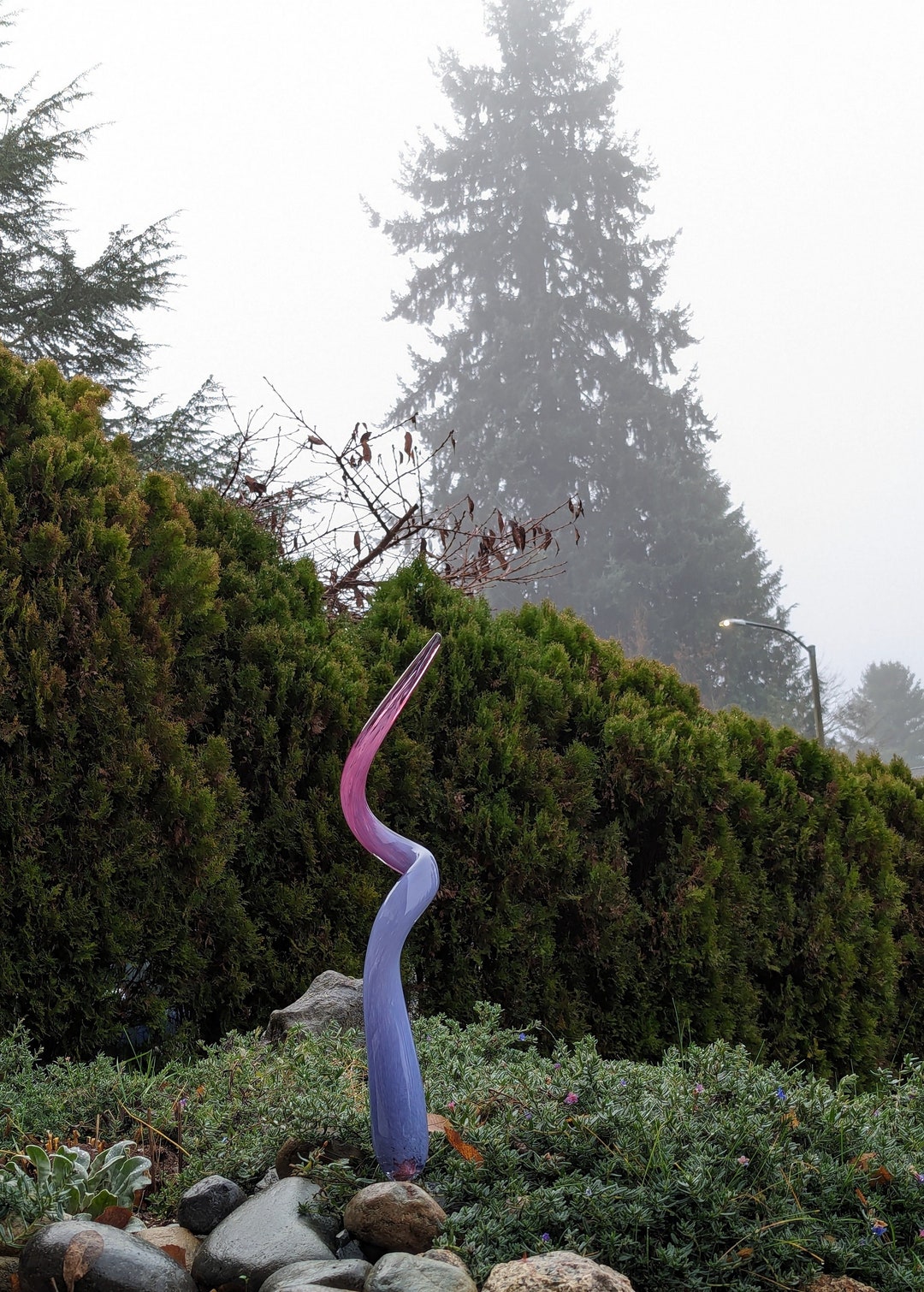 MALA 714 Purple/purple 2 Tone Opaque Fade to Transparent Glass Garden ...