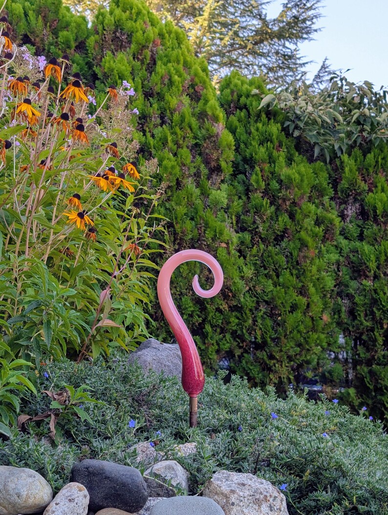 FIDDLE Fern Curly (f Pink/ruby) 2 Tone, Glass Garden Yard Art, Hand Blown, Outdoor Sculpture ...