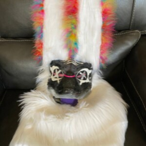 Dino Full Furry Mask (custom Order) - Etsy