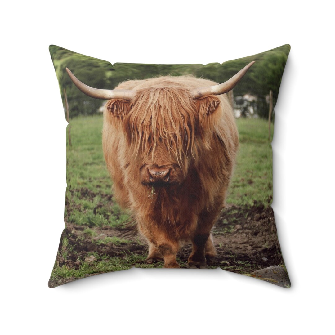 Highland Cow Square Pillow - Hairy Coo - Scotland Cow - Cow Decor ...