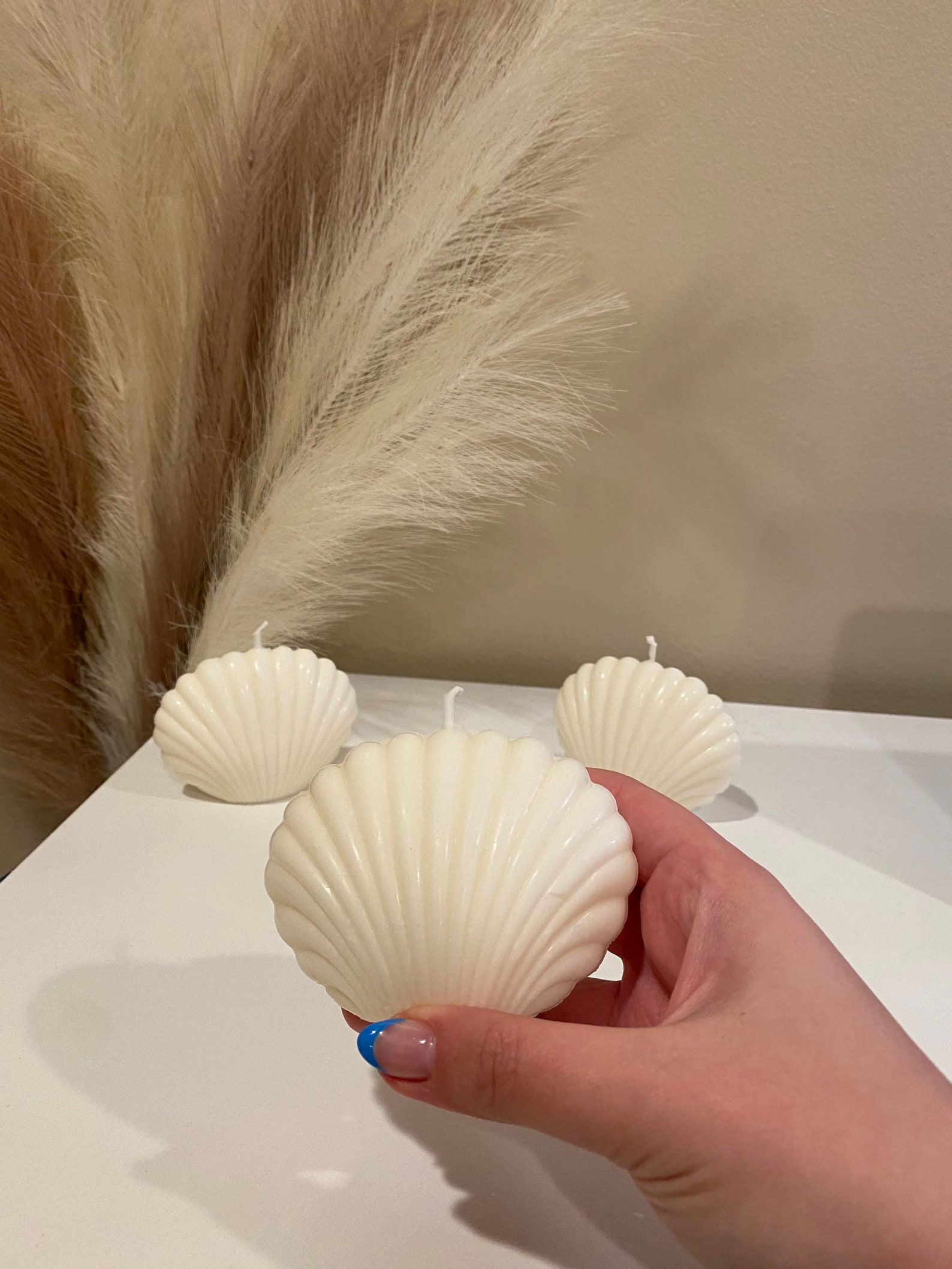 Candle ON SALE Shell Candle Sea Shell Candle Home Decor - Etsy