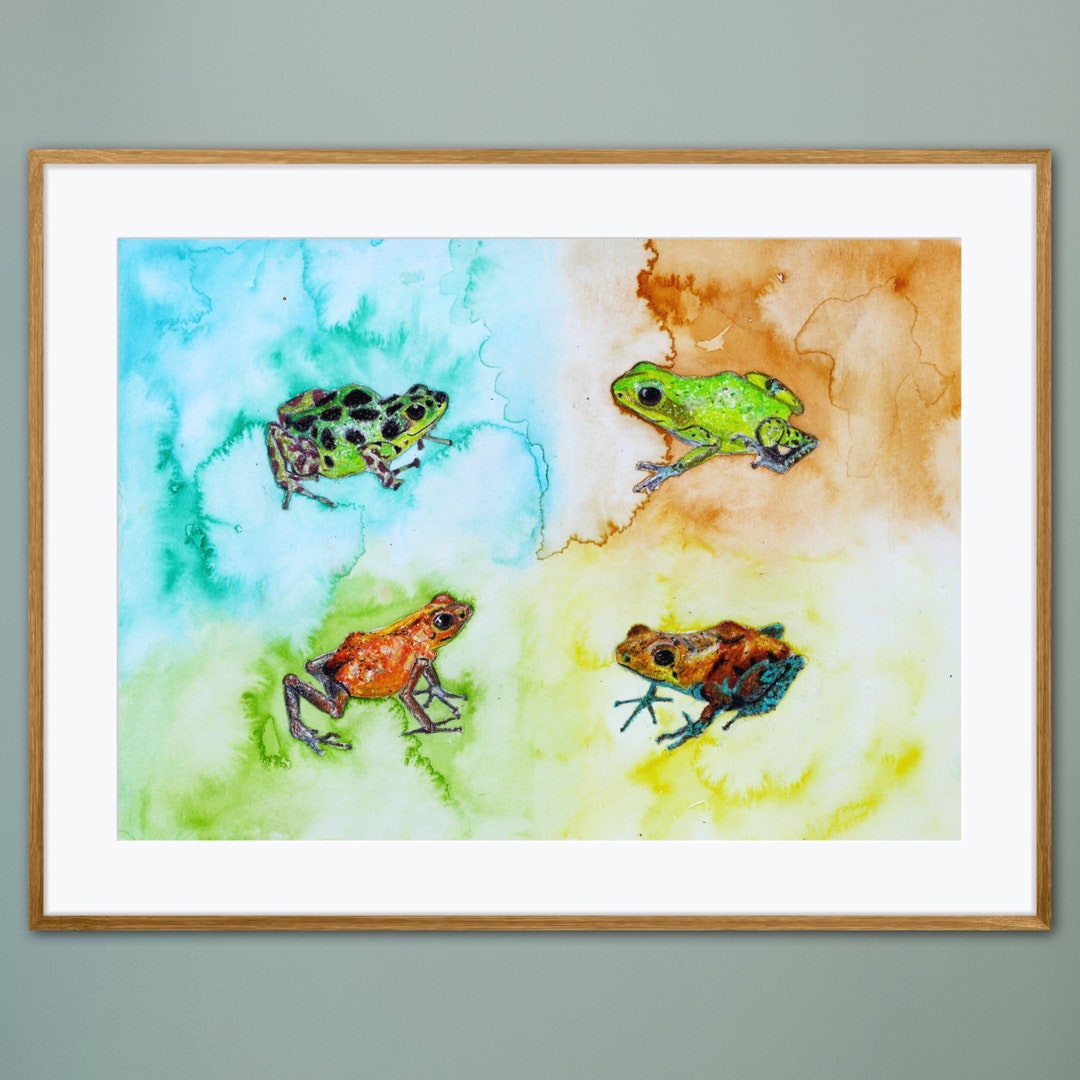 Strawberry Poison Dart Frogs Art Print Watercolor Illustration ...