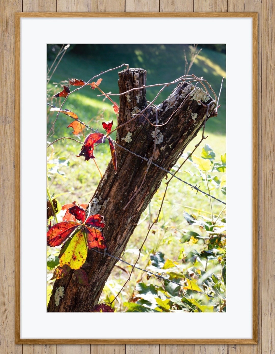 Rustic Fence Post Photography Giclée Fine Art Print Rural Vintage ...