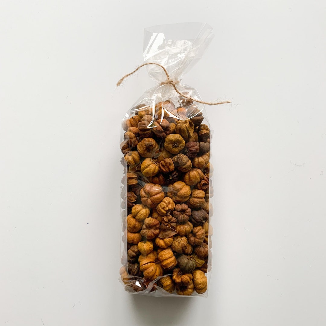 Mustard Yellow Putka Pumpkin Pods - Dried / Unscented - Approximately 1 ...