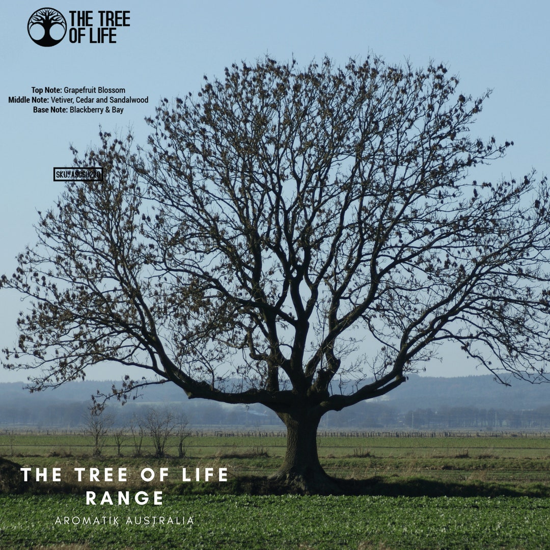 The Tree of Life Collection (the Tree of Life Diffuser + the Tree of ...