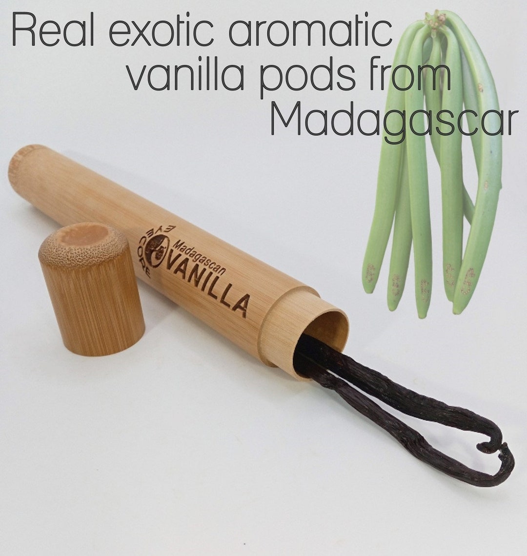 2 Gourmet TK Vanilla Pods Madagascan Bourbon Beans Premium Vegan - Etsy