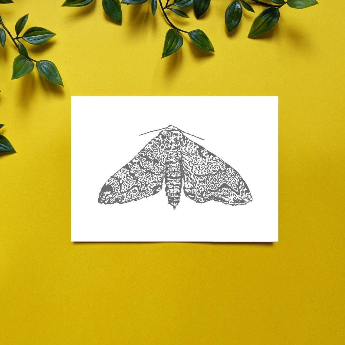 Peppered Moth Art Print | Etsy