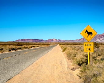 Burro Sign - Etsy