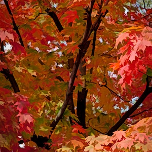Pop Art Fall Maple Tree. - Etsy