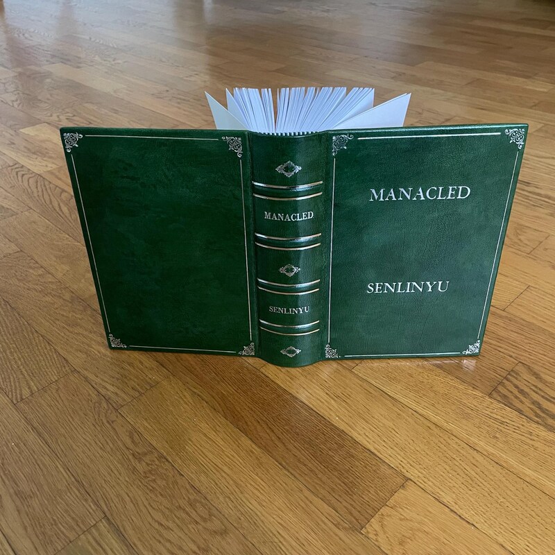 Senlinyu Special Edition - Etsy