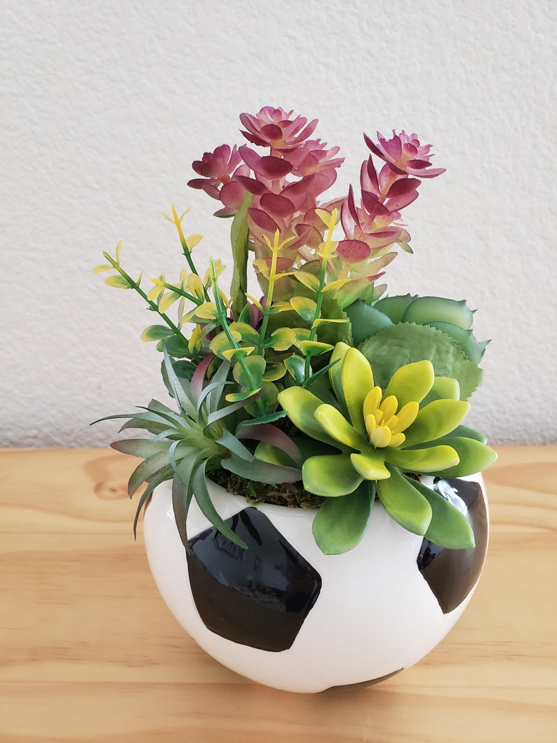 Soccer Ball Ceramic Pot With Artificial Succulents, Soccer Ball ...