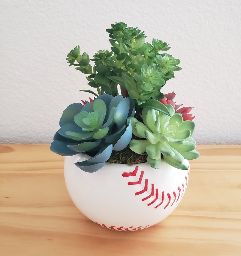 Baseball Artificial Succulent Arrangement, Baseball Gift, Baseball ...