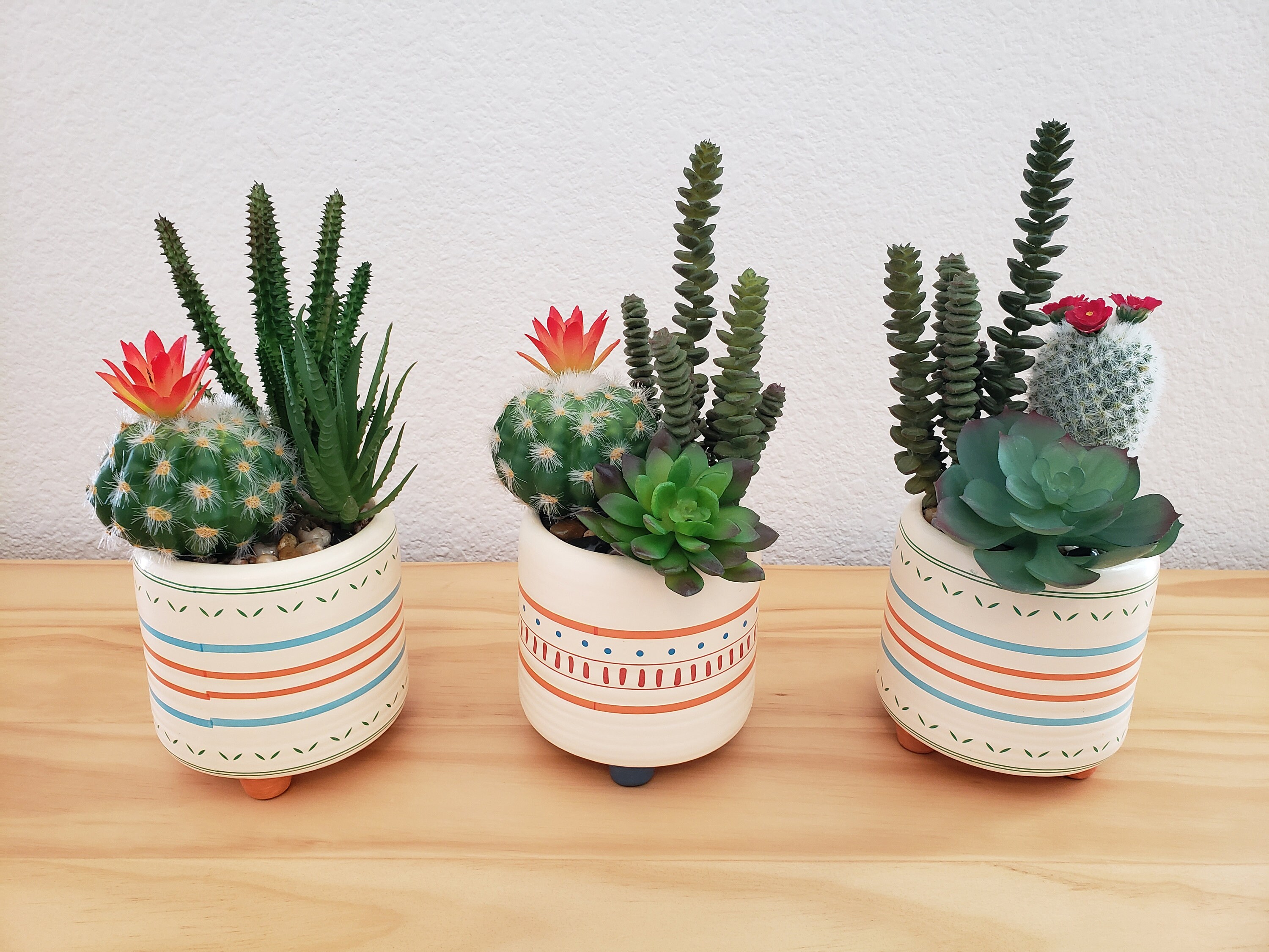 Southwest Artificial Succulent Arrangement, Southwest Succulent ...