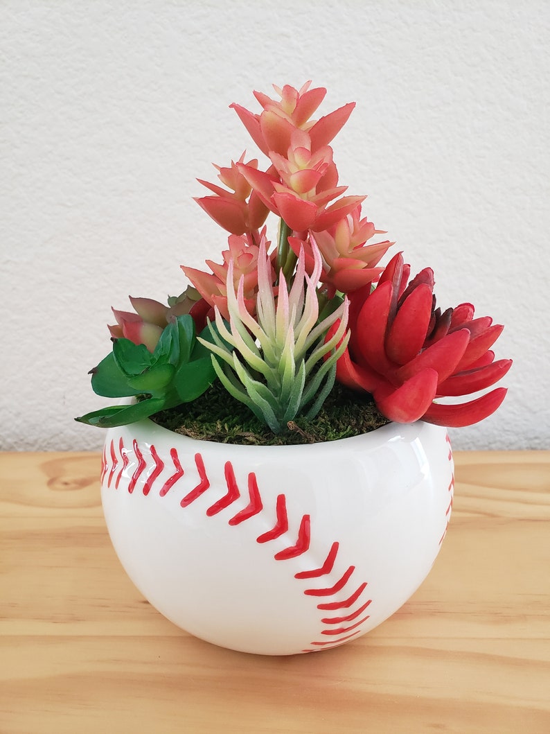 Baseball Artificial Succulent Arrangement, Baseball Gift, Baseball ...