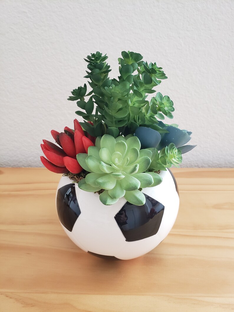 Soccer Ball Ceramic Pot With Artificial Succulents Soccer - Etsy