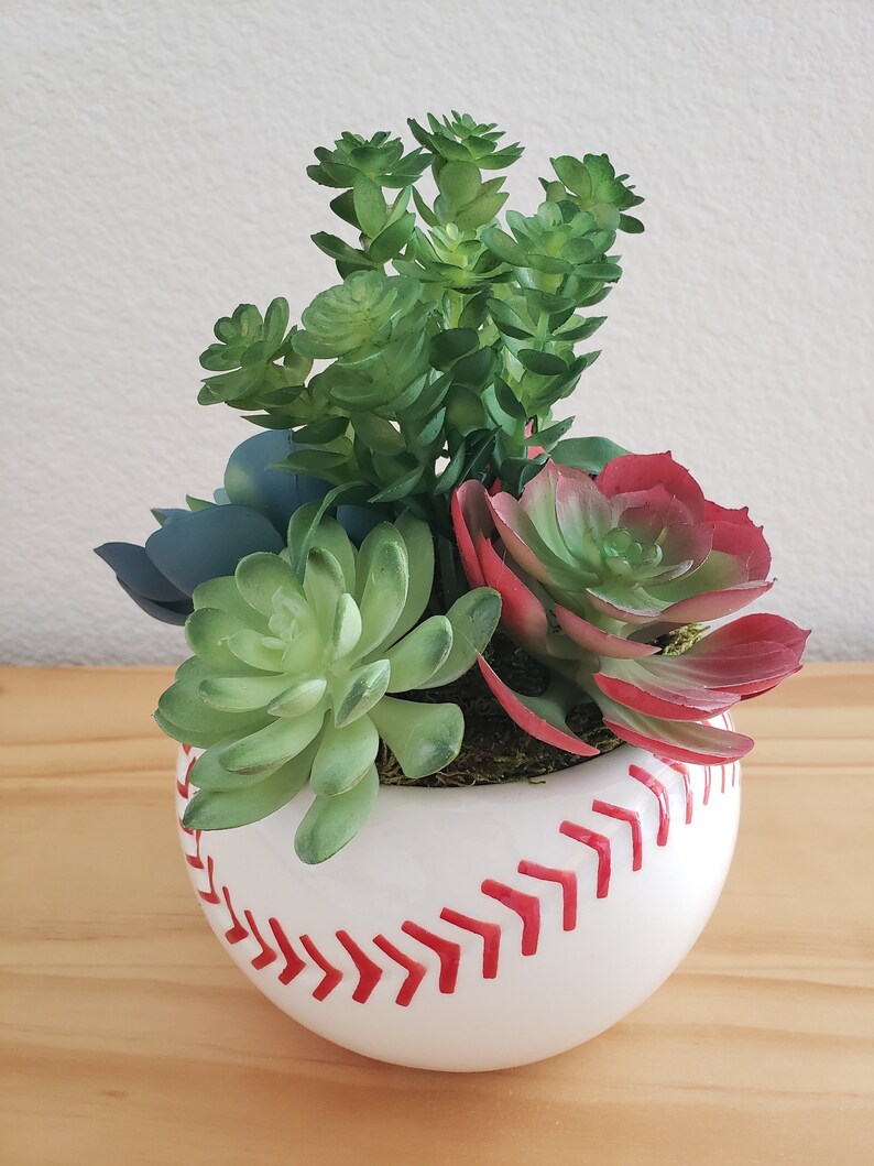 Baseball Artificial Succulent Arrangement, Baseball Gift, Baseball ...