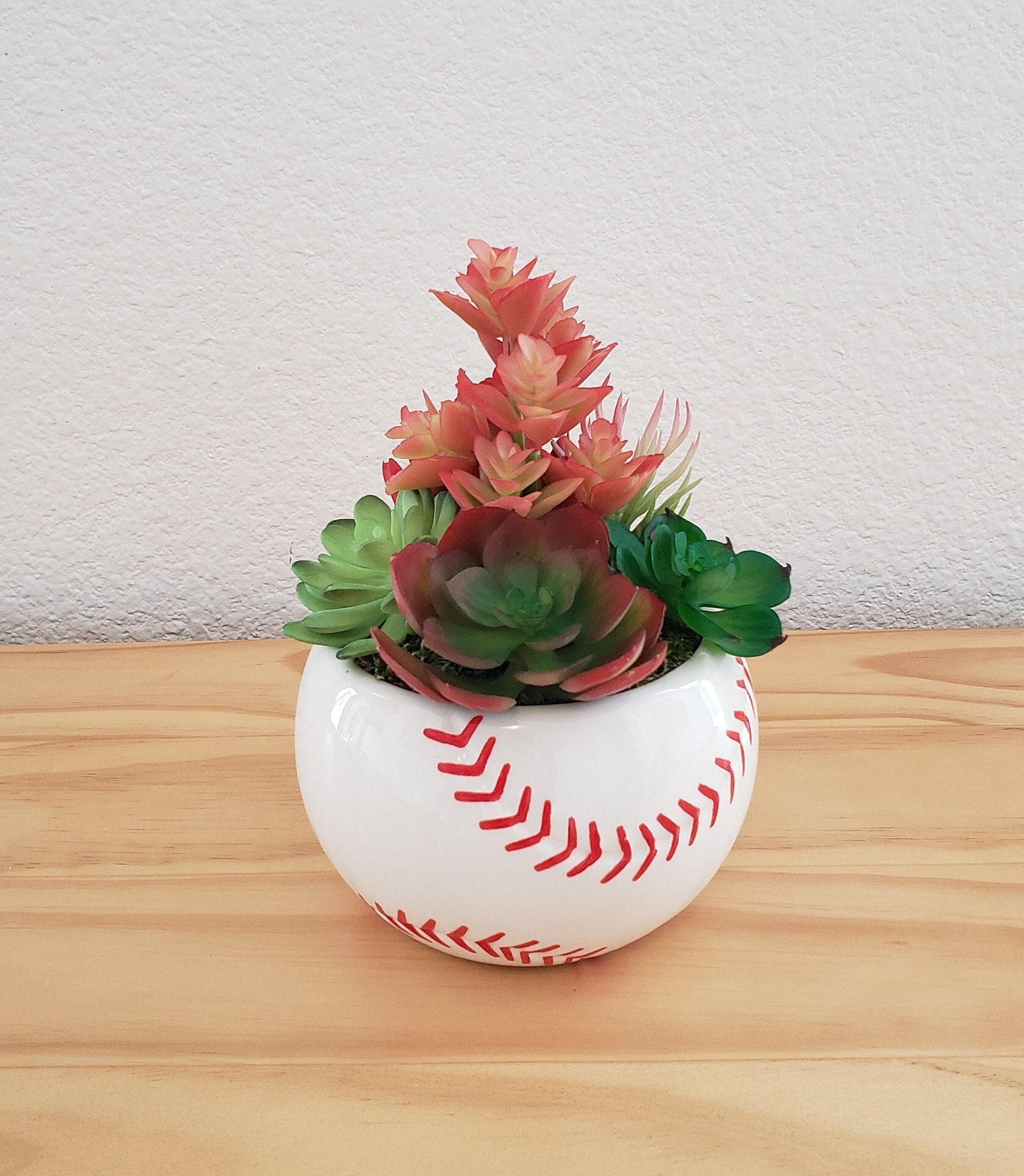 Baseball Artificial Succulent Arrangement, Baseball Gift, Baseball ...