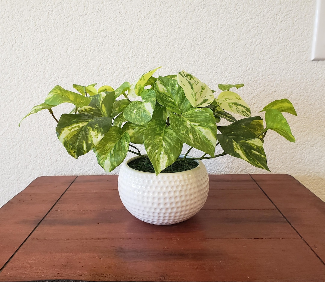 Golf Ball Pot With Artificial Variegated Pothos Plant, Sports Decor ...