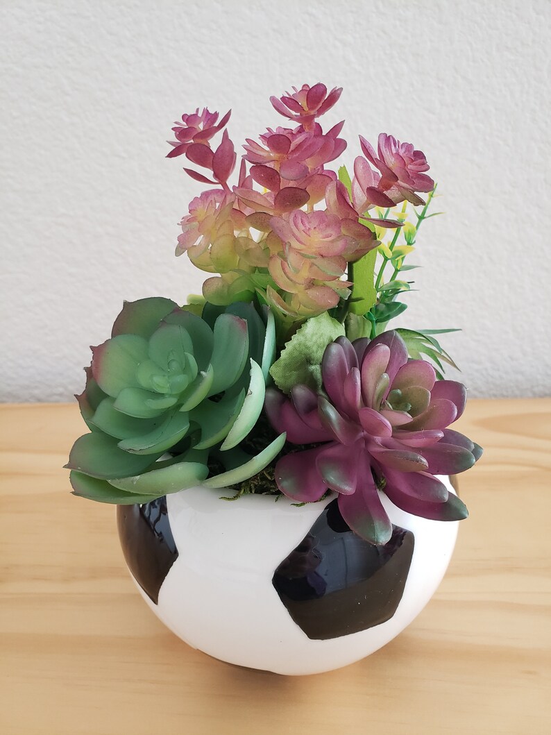 Soccer Ball Ceramic Pot With Artificial Succulents, Soccer Ball ...