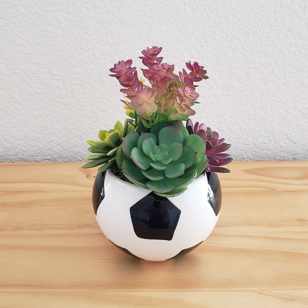 Soccer Ball Ceramic Pot With Artificial Succulents, Soccer Ball ...