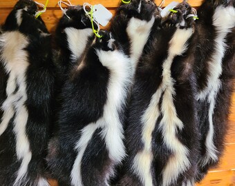 Large Tanned Skunk Pelt - Etsy