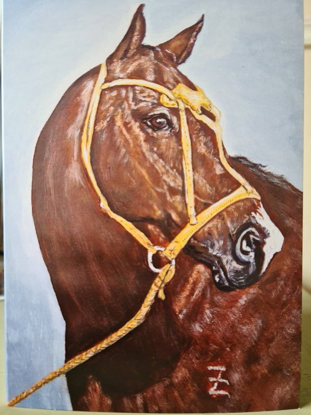 Polo Stallion, Polo Pony, Horse Cards, Pack of Notelets, Greeting and ...