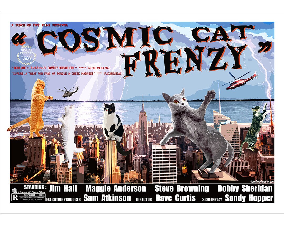 Personalised Movie Poster. Funny Cats. "cosmic Cat Frenzy". Fun Wall ...