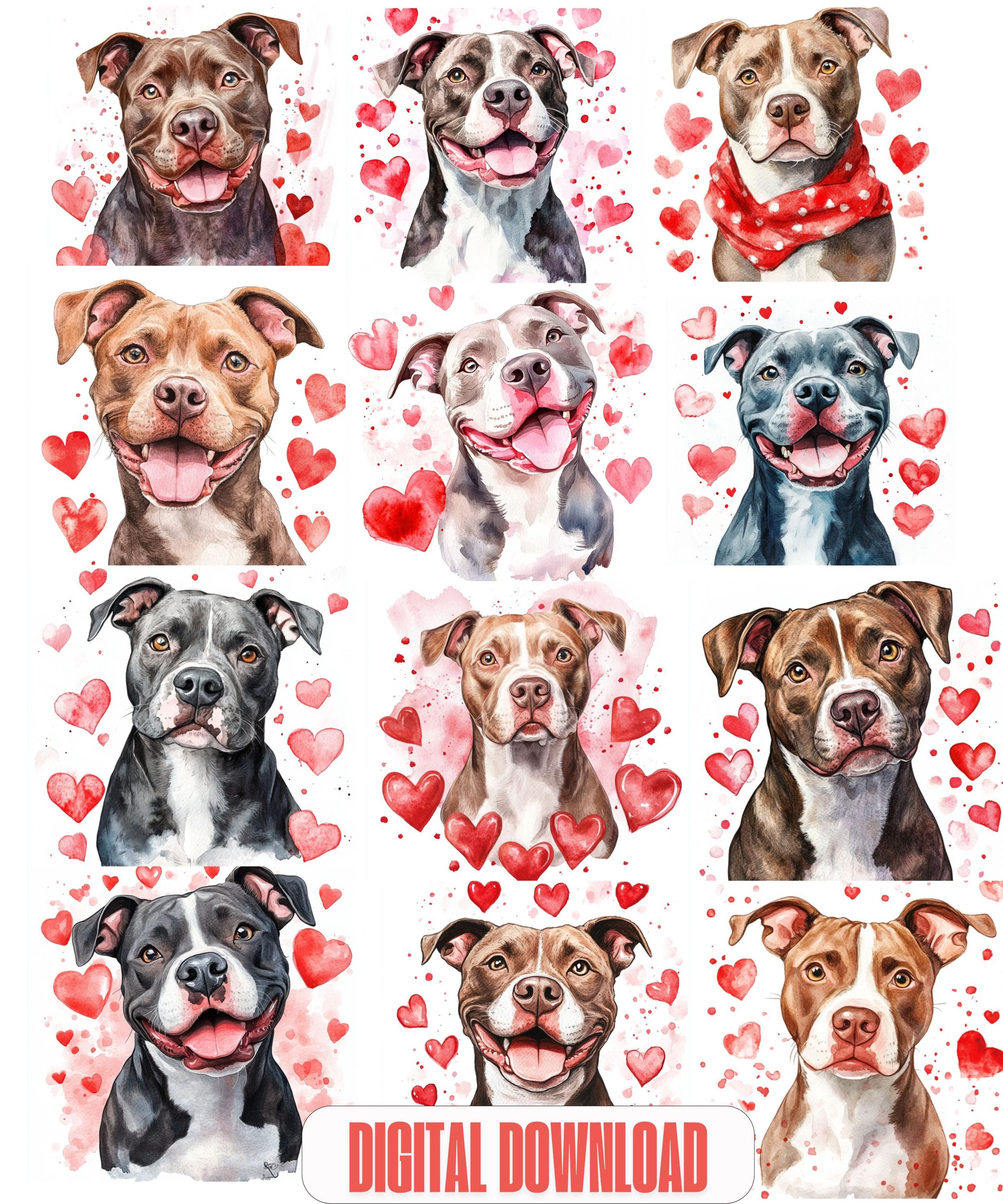 Pitbull Love Valentines PNG Dog Theme - Etsy