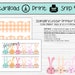 Spring Bunnies and Gingham Bulletin Board Borders, Printable Easter ...