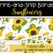 Sunflowers Bulletin Board Border Printable Classroom Board Trim Summer ...