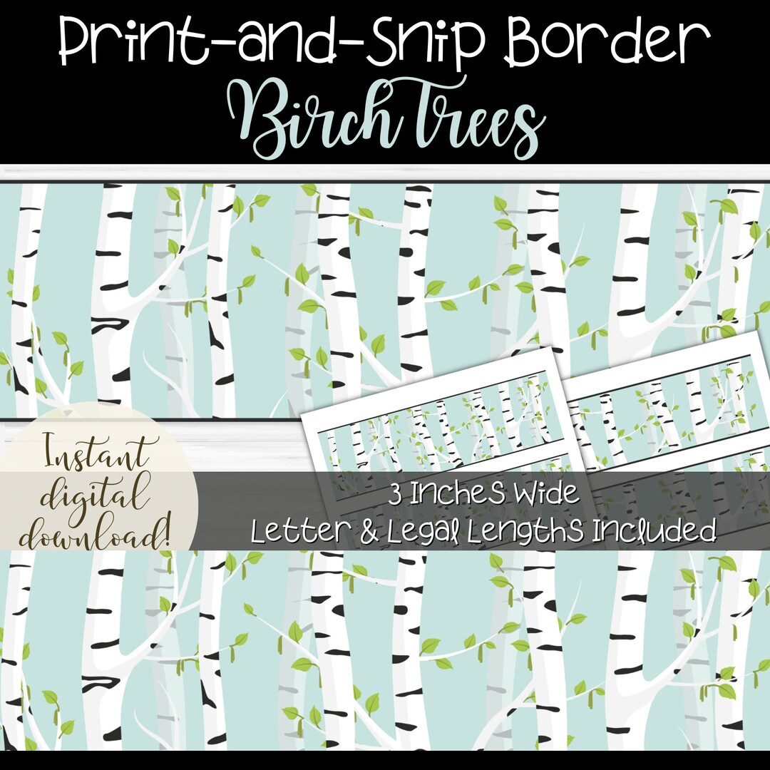 Buy Printable Bulletin Board Border in White Birch Trees Pattern, Print ...