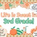 Bulletin Board Printable Kit | Orange Fruit Themed Classroom Display ...