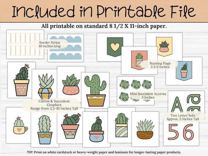Boho Cactus Succulent Bulletin Board Kit, Neutral Classroom Decor ...