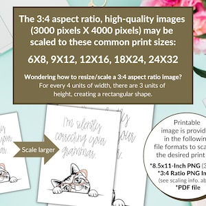 Cat Poster for Classroom | Printable English Teacher Poster | Funny Cat ...