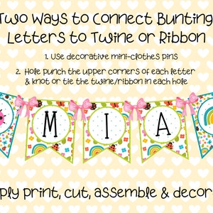 Spring Bunting Banner Flags, Printable Party Banner, Ladybug ...