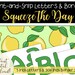 Printable Bulletin Board Letters and Border Set Squeeze the - Etsy