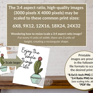 Succulent & Cactus Classroom Posters | Cute Growth Mindset Sayings ...