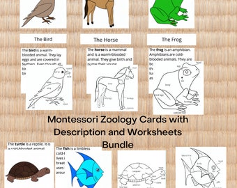Zoology Nomenclature 3part Cards Bundle - Etsy