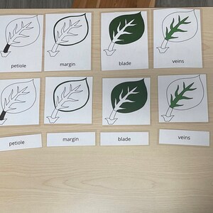 Botany Nomenclature Montessori Cards - Etsy